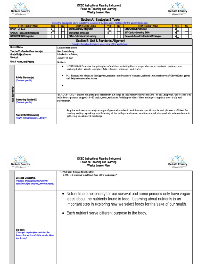 Differentiated Instruction Lesson Plan | PDF | Differentiated ...