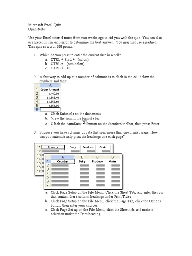 Microsoft Excel Quiz1 | Download Free PDF | Comma Separated Values | Microsoft Excel