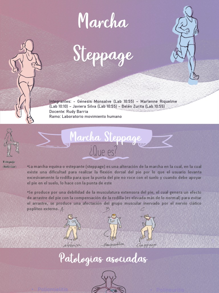 Características de la marcha Steppage | PDF | Pie | Rodilla