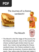 The Digestive System Poem | PDF