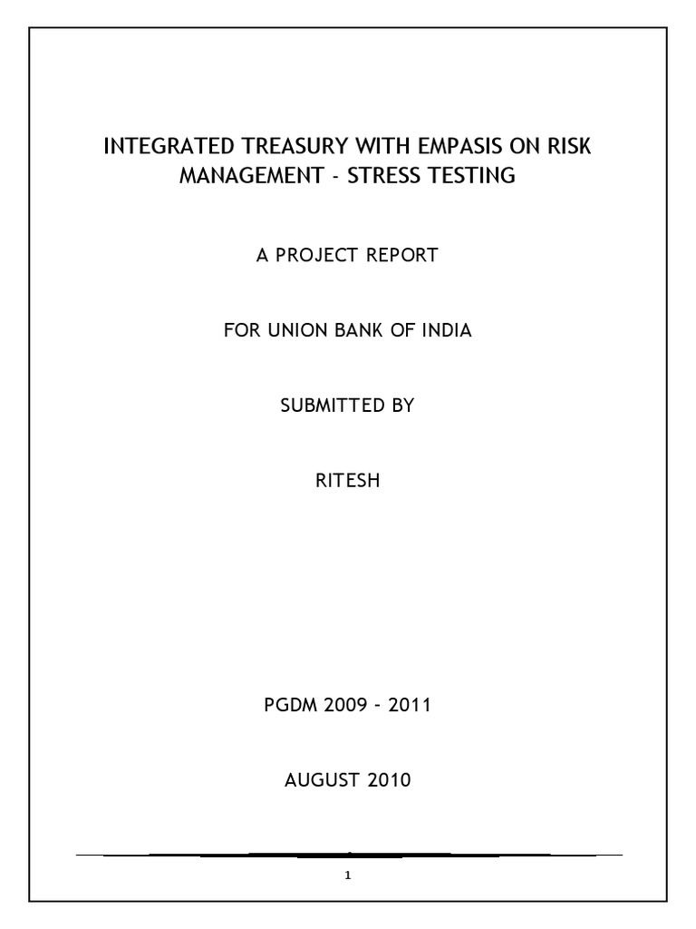 Stress Testing Project | PDF | Stress Test (Financial) | Risk