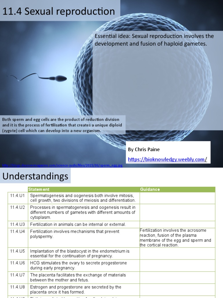11.4 Sexual Reproduction: Essential Idea: Sexual Reproduction Involves ...