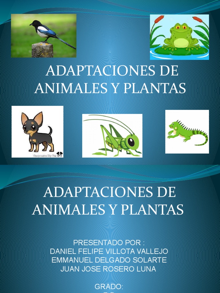 Adaptaciones de Animales y Plantas Y PUMA | PDF | Puma | Hoja