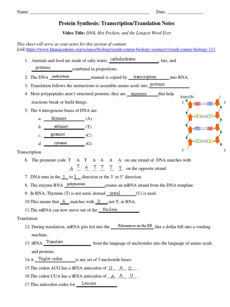 Kami Export - Santos Avila Mejia - Crash Course Transcription and ...