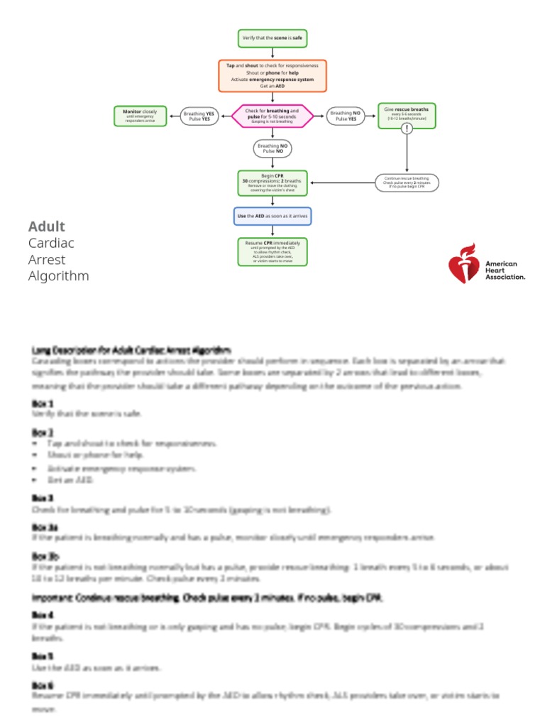 Adult Cardiac Arrest Algorithm Module 1 | PDF | Cardiopulmonary ...