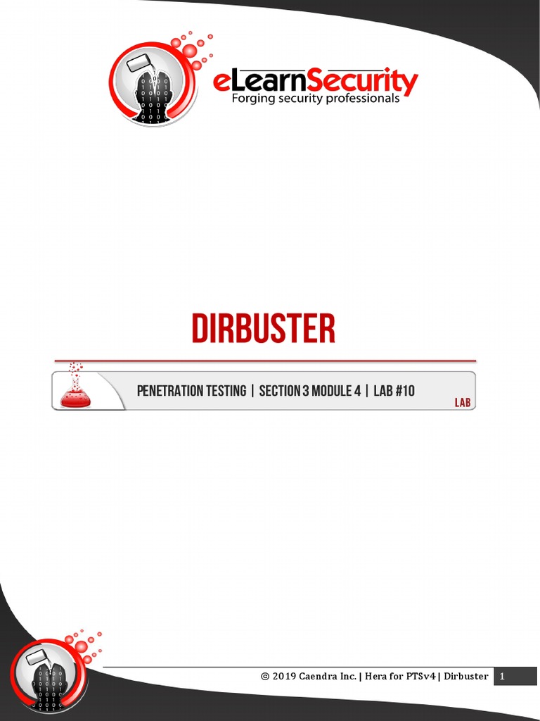 Lab10 - Dirbuster | PDF | Web Application | World Wide Web