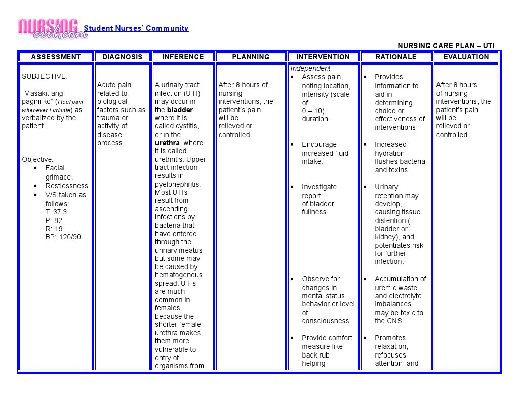 Nursing Care Plan Urinary Tract Infection UTI | PDF