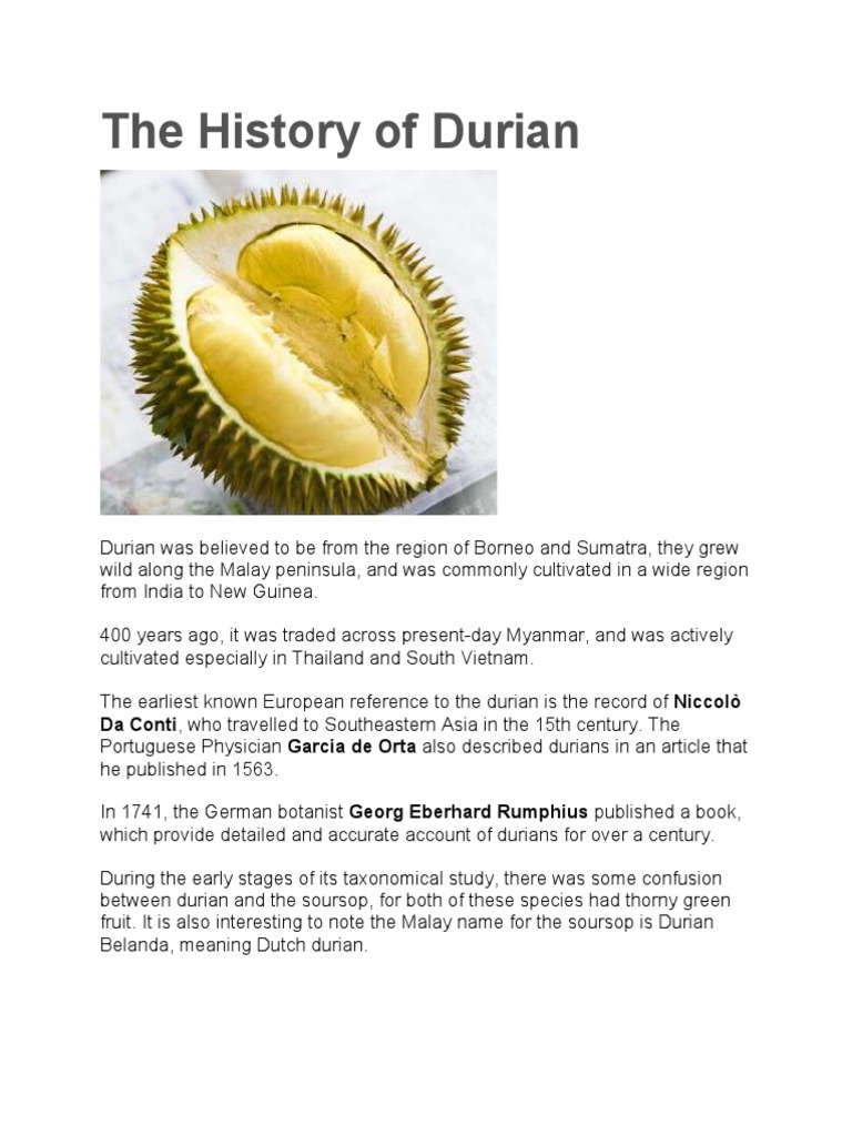 The History of Durian | PDF