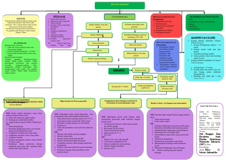 WOC - Kejang Demam - 214120071 - HAFSA | PDF