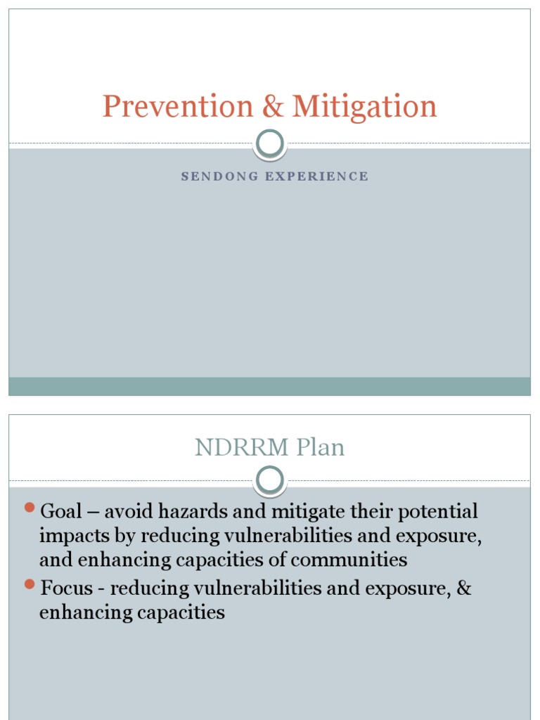 Prelim Draft - Prevention & Mitigation | PDF | Disaster Risk Reduction ...