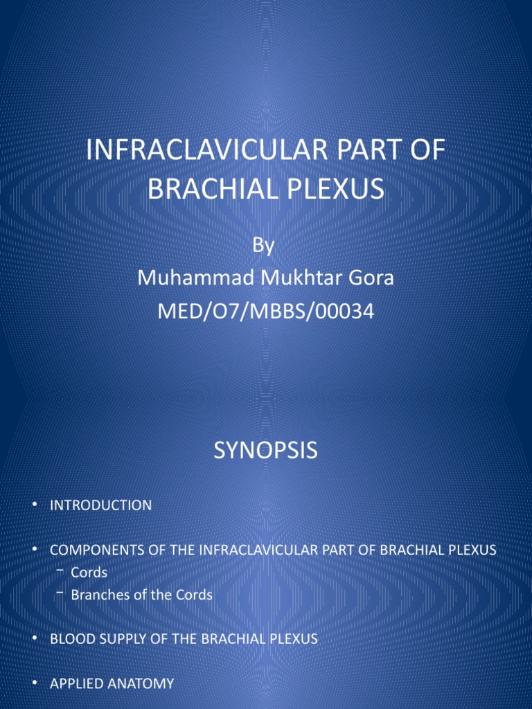 Brachial Plexus: Infraclavicular Guide | PDF