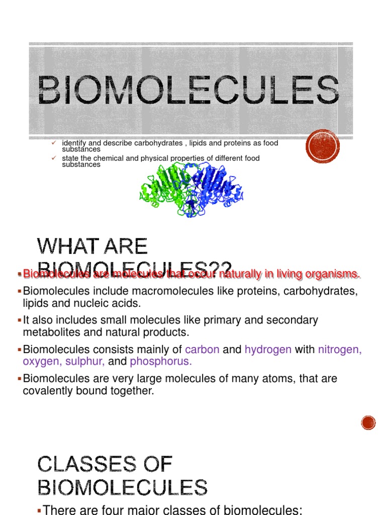 Identify and Describe Carbohydrates, Lipids and Proteins As Food ...