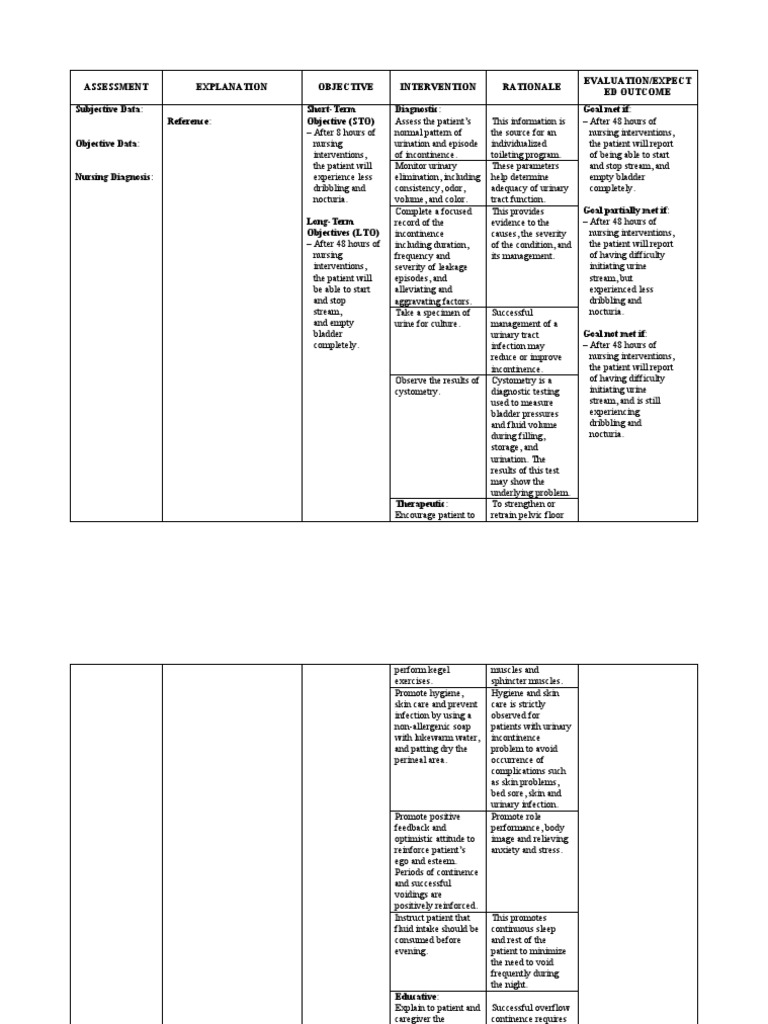 NCP | PDF | Urinary Incontinence | Urology