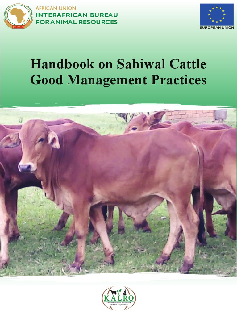 Sahiwal Cattle Management Handbook - November 2019 - Layout - FINAL ...