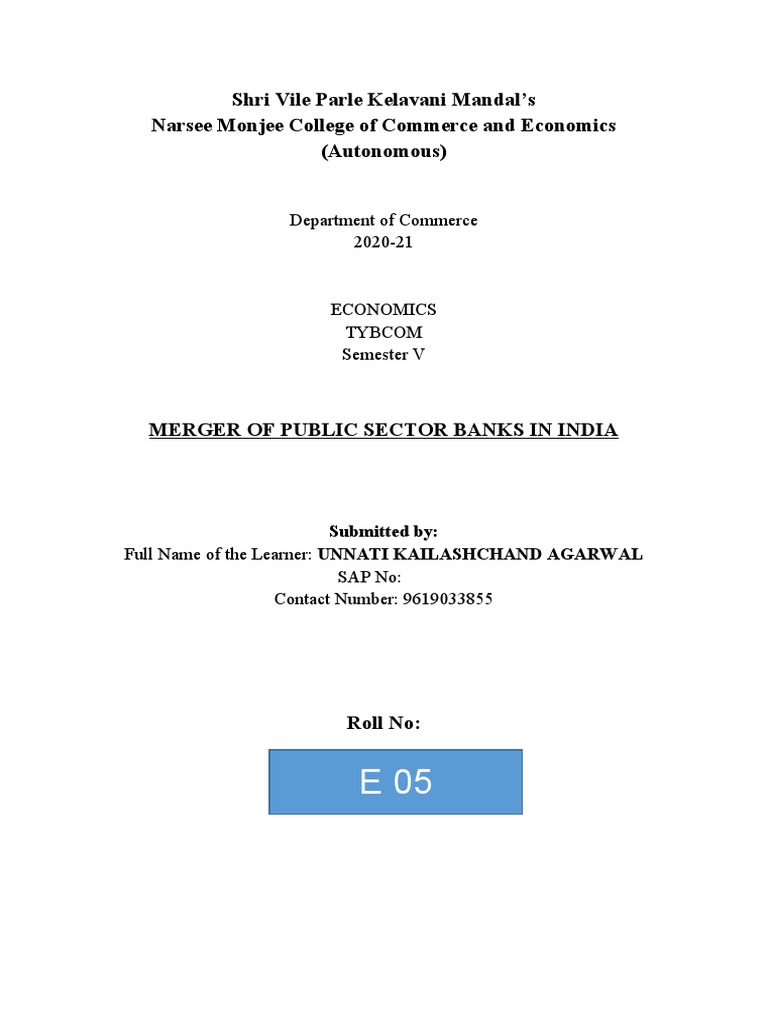 Economics Project | PDF