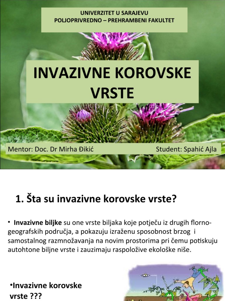 Invazivni Korovi | PDF