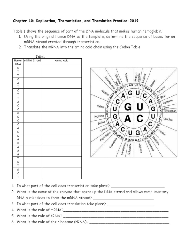 Decoding DNA: Transcription and Translation Practice | PDF