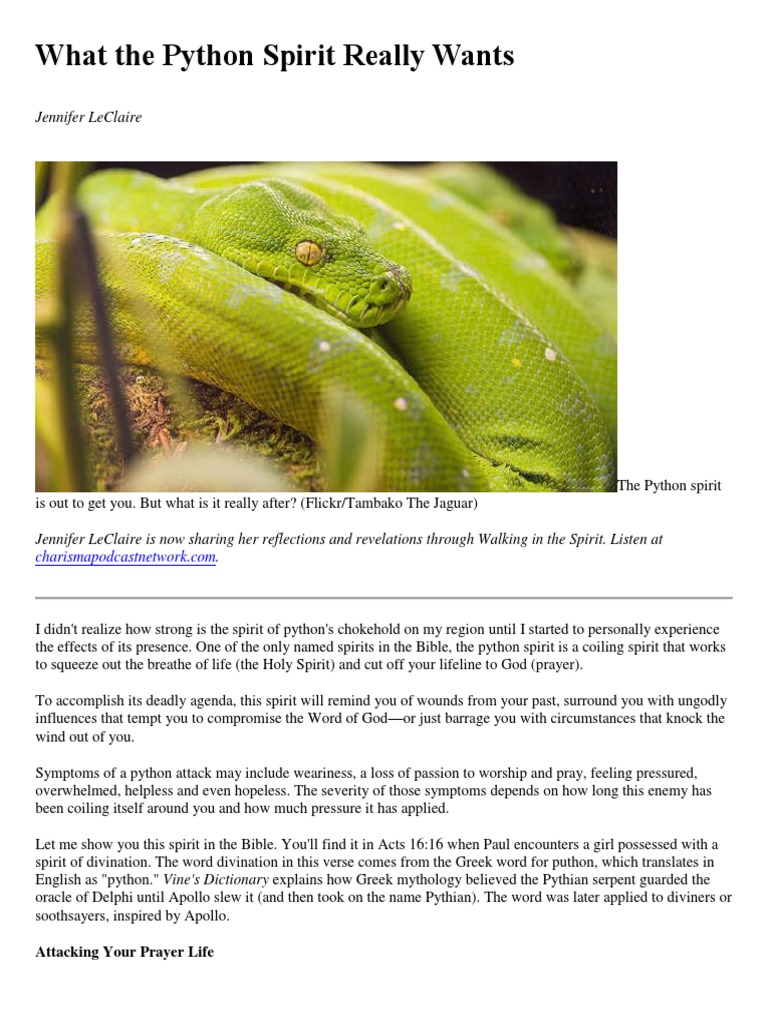 What The Python Spirit Really Wants | PDF | Paul The Apostle | Oracle