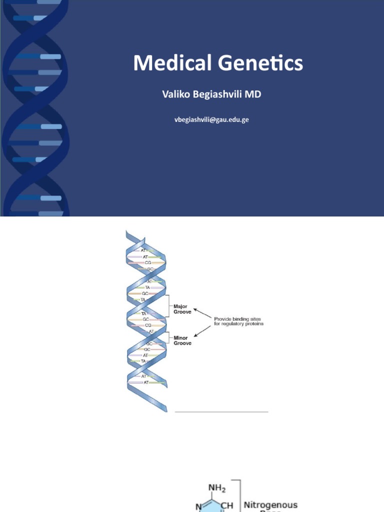 Cellular and Molecular Basis of Inheritance | PDF | Messenger Rna ...
