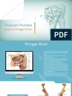 Anatomi Rongga Mulut Manusia | PDF