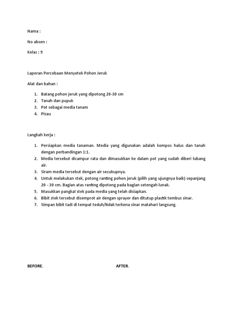 Karin (Laporan Menyetek Pohon Jeruk) | PDF