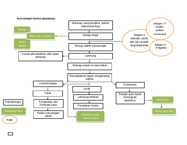 Peta Konsep Thypus Abdominal - St. Hajrah | PDF