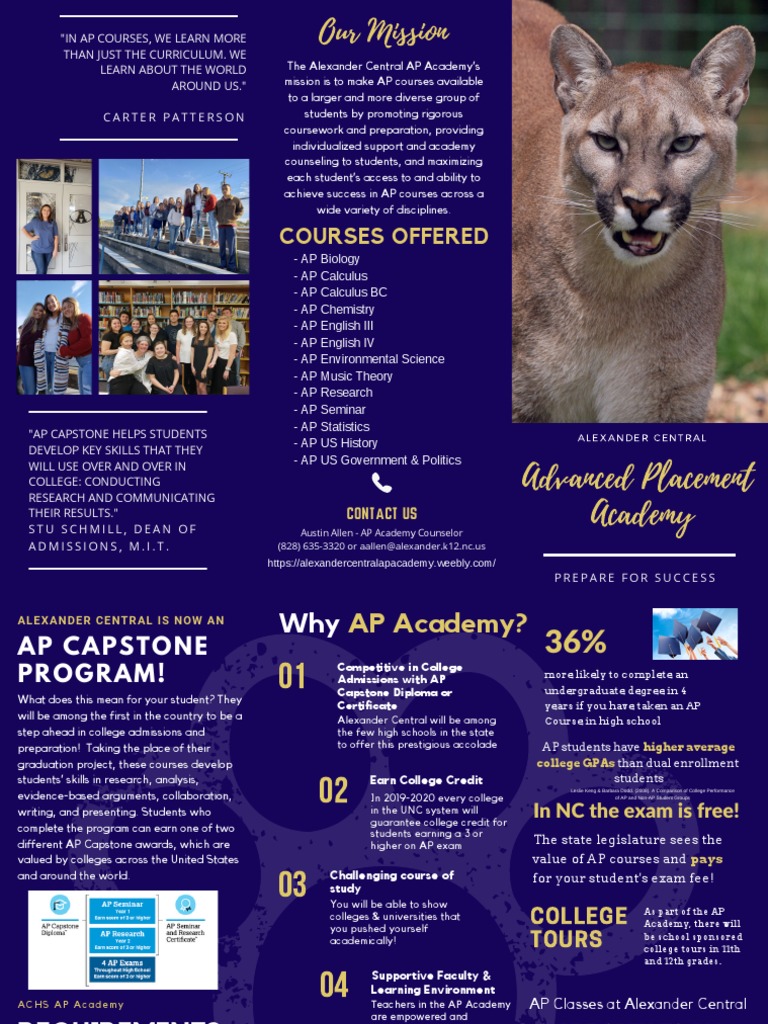 Prepare For Success - AP Academy Brochure | PDF | Advanced Placement ...