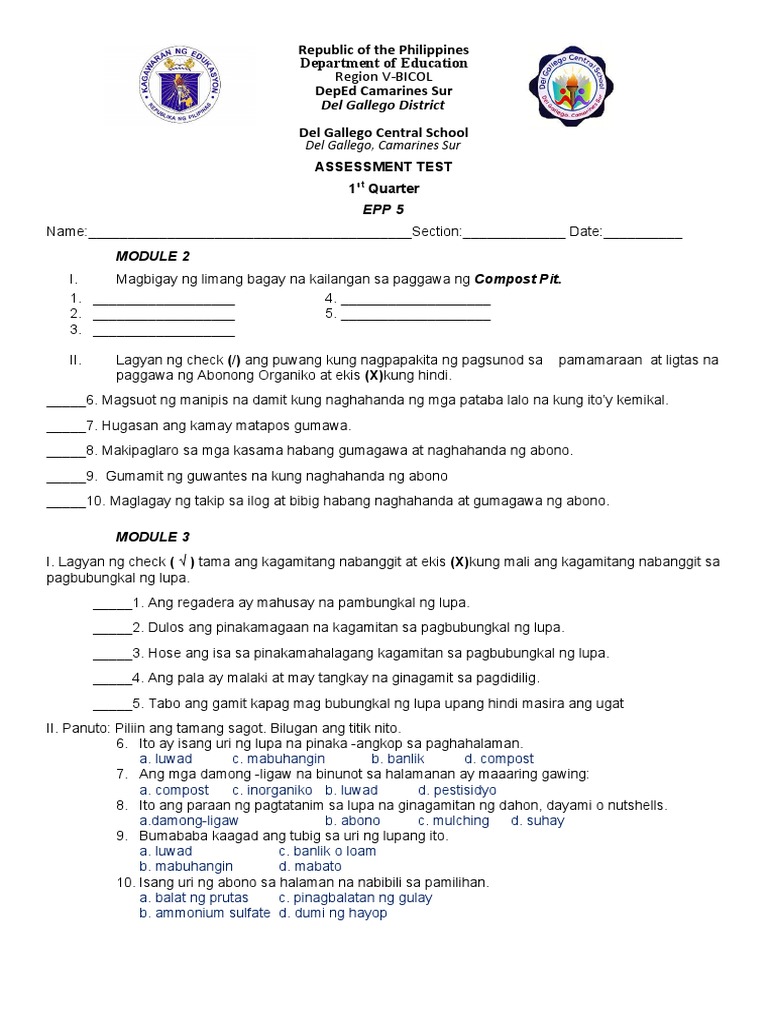 ASSESSMENT TEST 1st Quarter EPP 5 | PDF