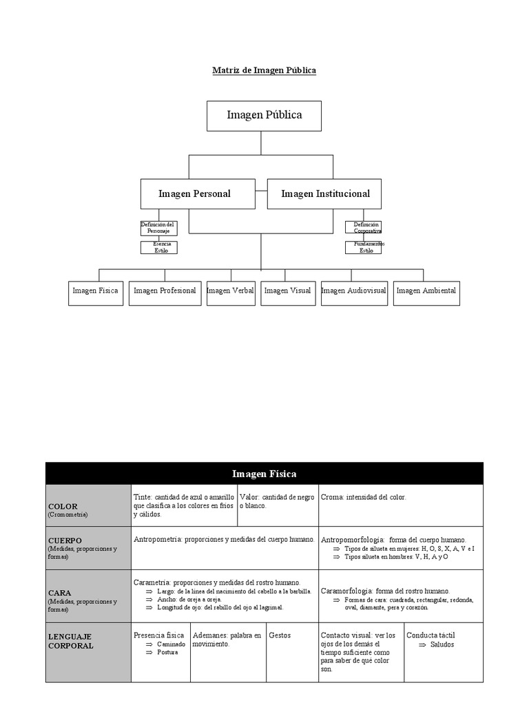 Matriz Conceptual Imagen Publica | PDF | Ciencia y matemáticas