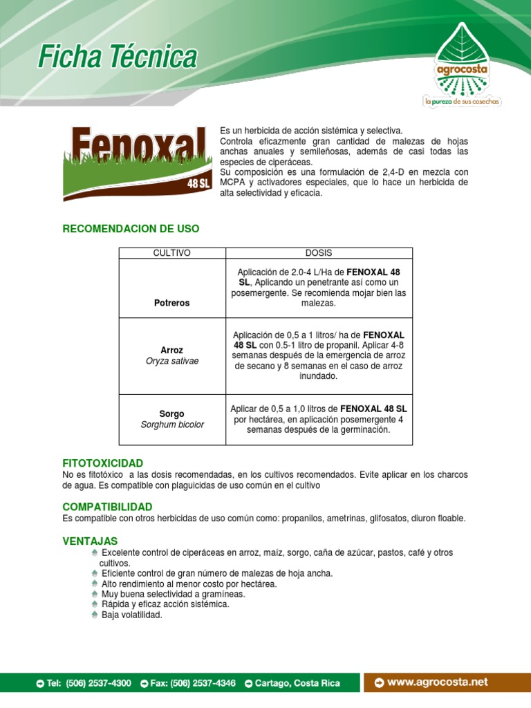 Fenoxal | PDF | Solvente | Agua