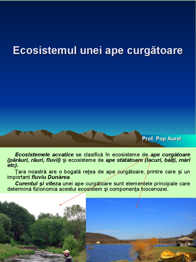Lectie 78 Ecosistemul Unei Ape Curgatoare. Ecosistemul Unui Lac. | PDF