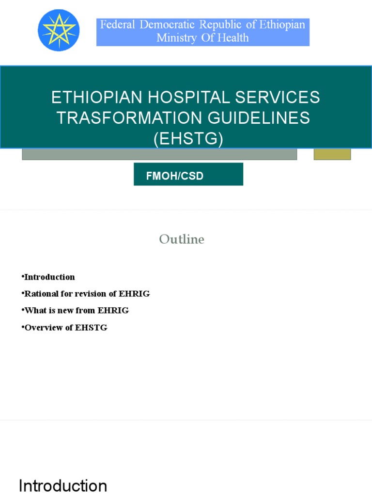 Ethiopian Hospital Services Transformation | PDF | Nursing | Patient