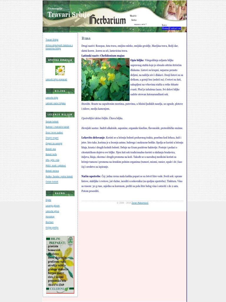 Rusa - Biljka - Lekovito Bilje - Trave | PDF