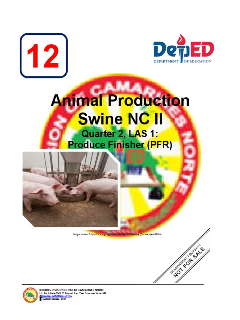Animal-Production-Swine G12 WK 1 | PDF | Copyright | Business