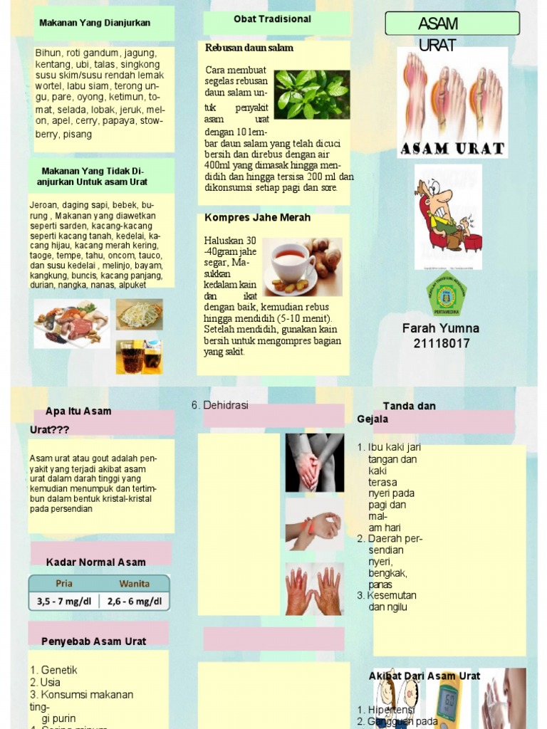 Leaflet Asam Urat | PDF