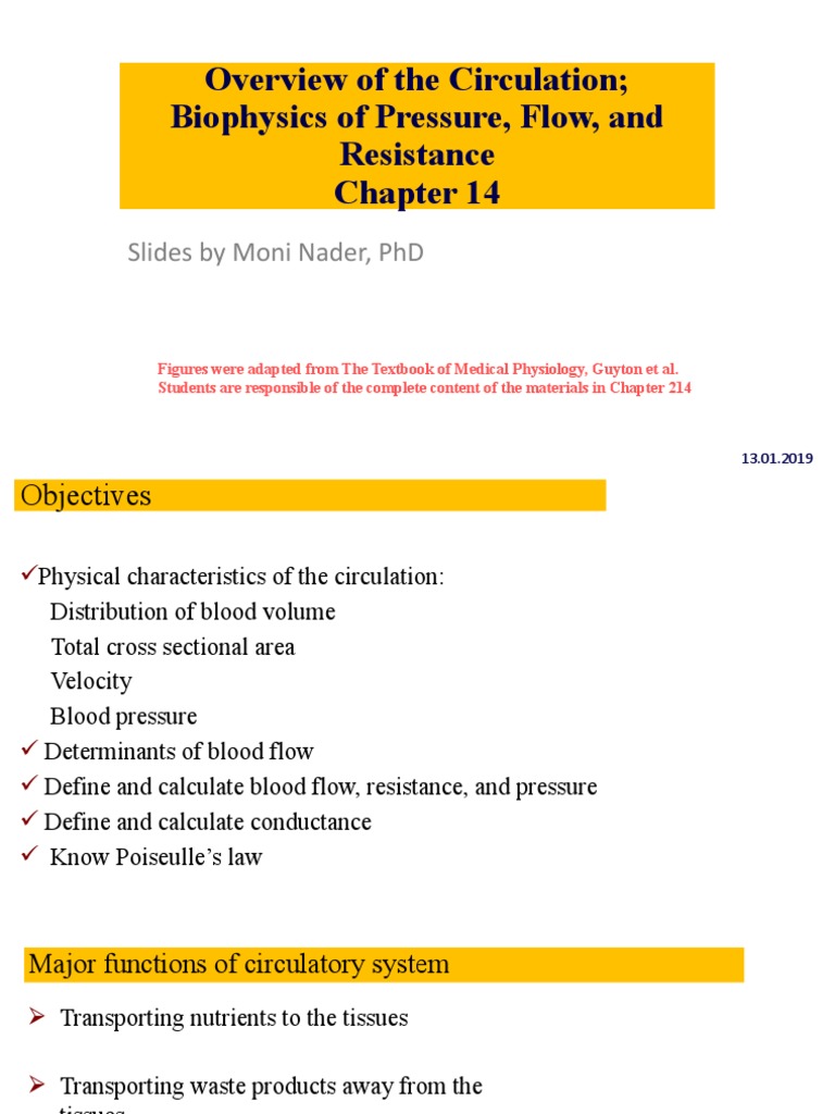 Chapter 14 - Overview of The Circulation | PDF | Hemodynamics | Circulatory System
