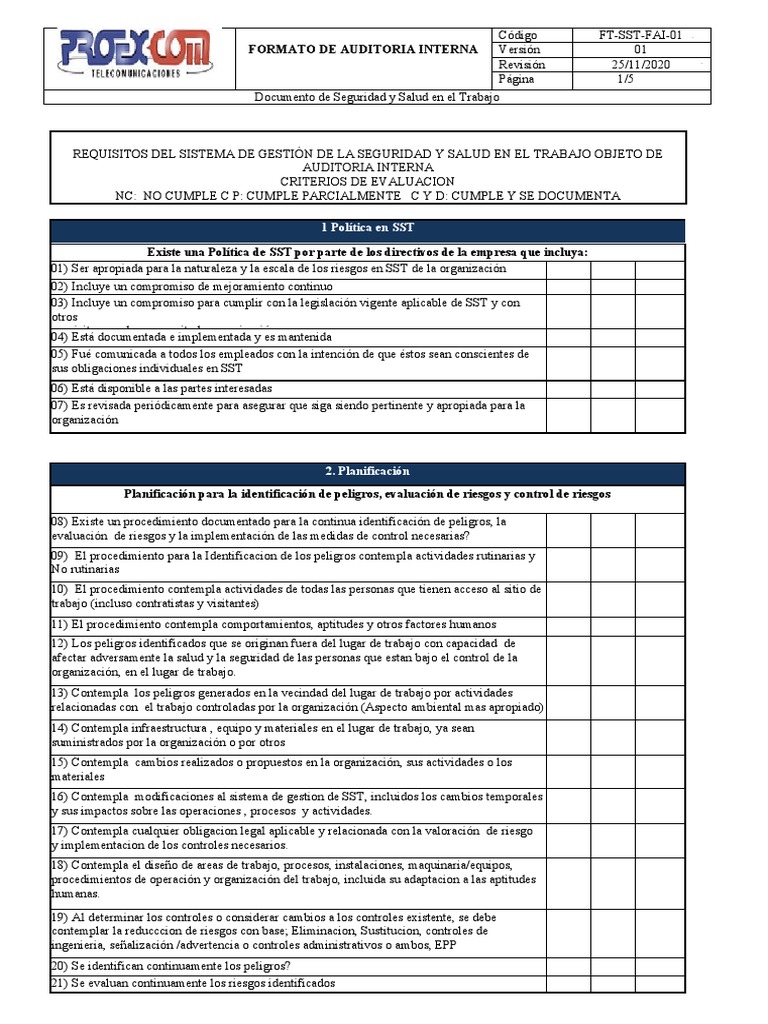 Formato de Auditoria Interna | PDF | Auditoría | Planificación