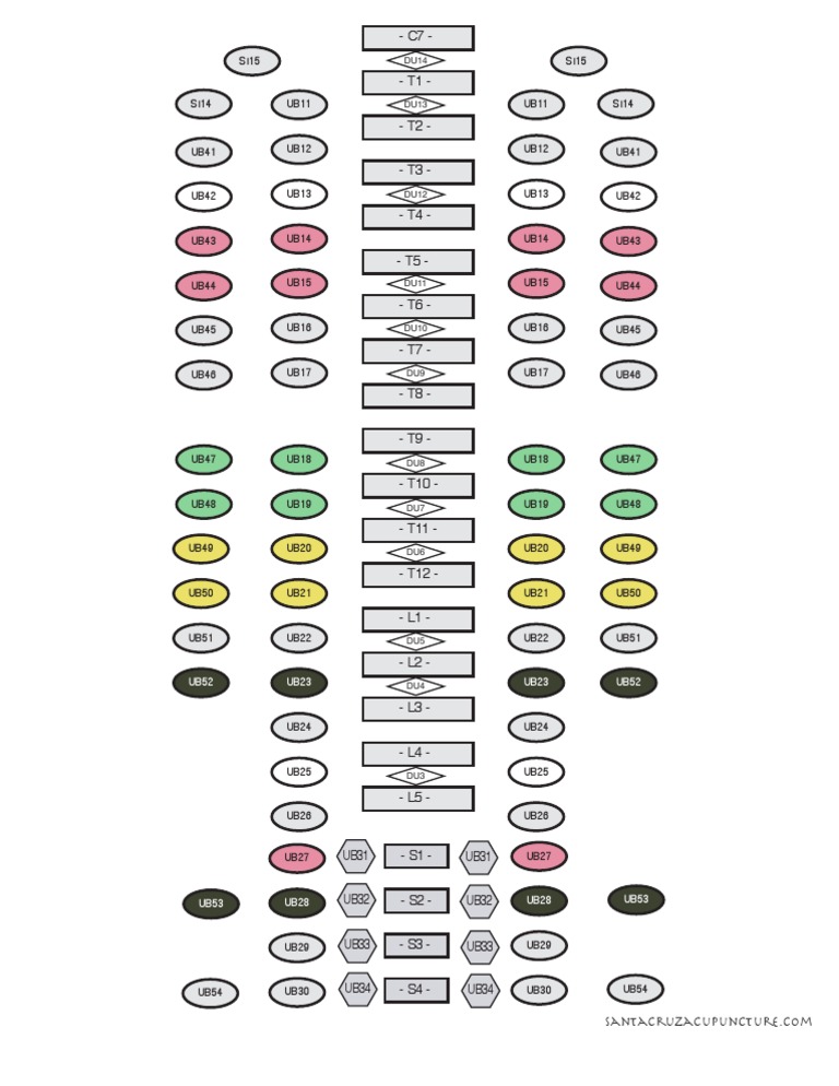Backchart and Backgraph Overview | PDF