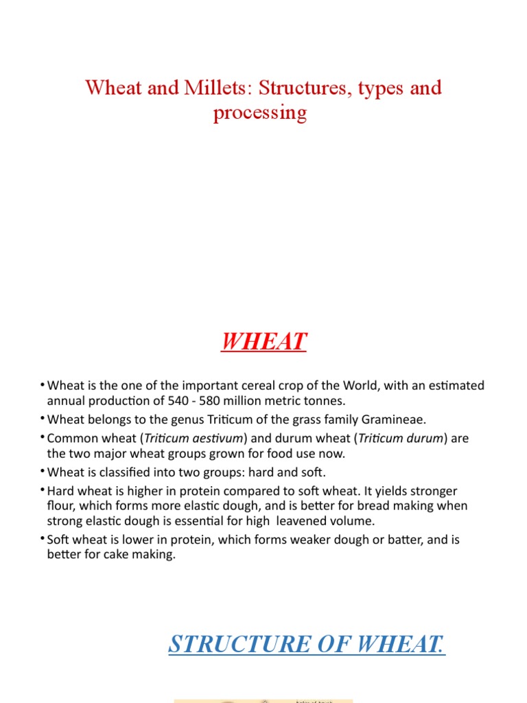 Wheat and Millets: Structures, Types and Processing | PDF | Flour | Wheat