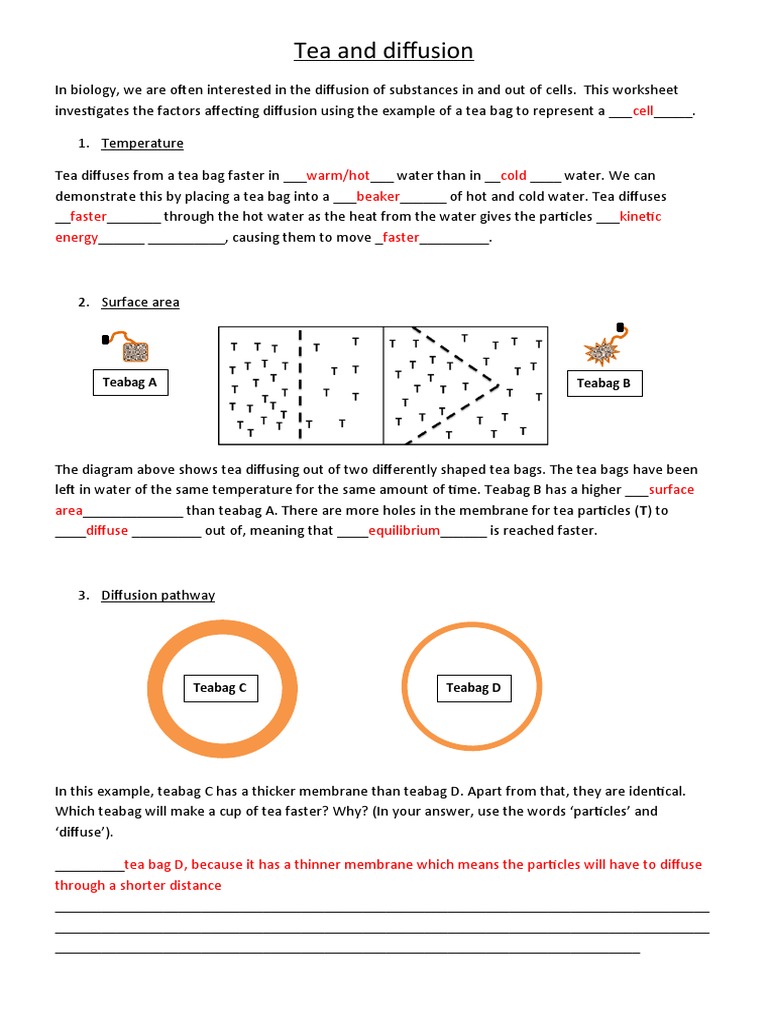 Tea Bag Diffusion Experiment Insights | PDF | Diffusion | Water