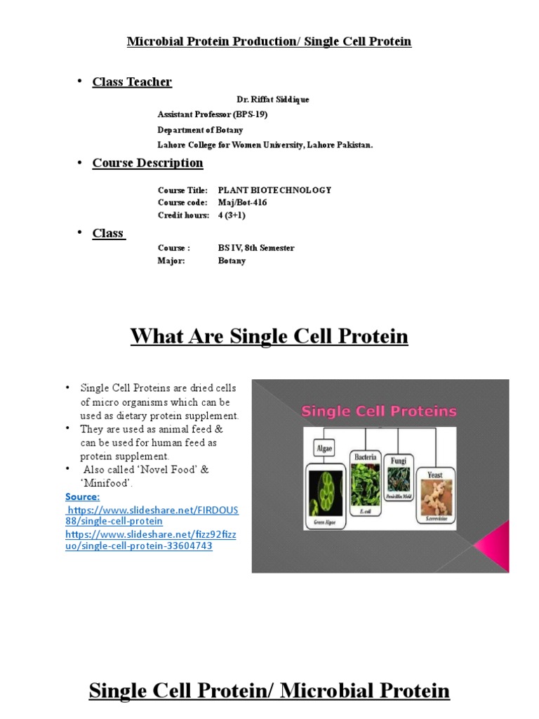 Microbial Protein Production/ Single Cell Protein: - Class Teacher ...