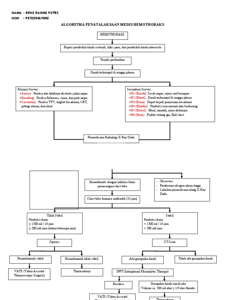 Algoritma Penatalaksaan Hemothoraks | PDF