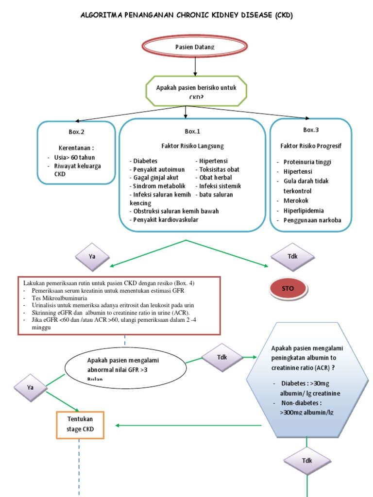 Panduan Penanganan CKD | PDF