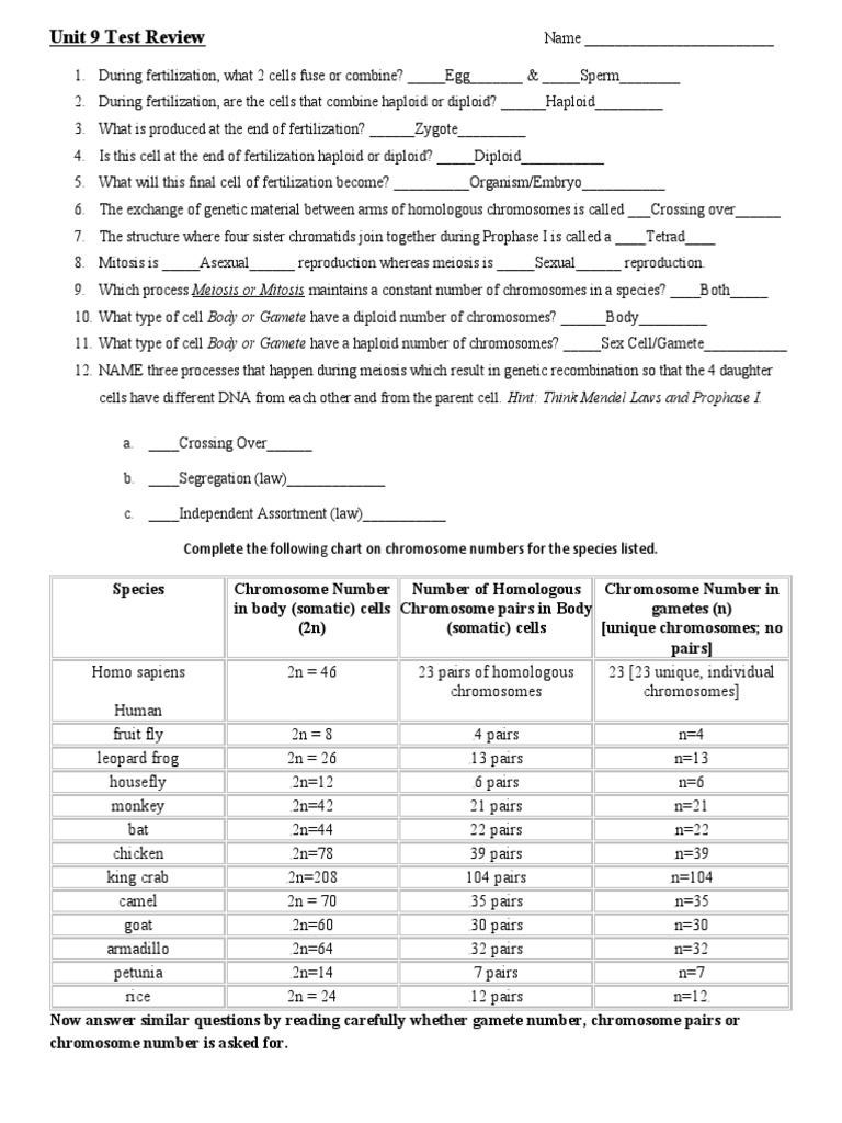 Unit 9 Test Review 2015 KEY | PDF | Meiosis | Ploidy