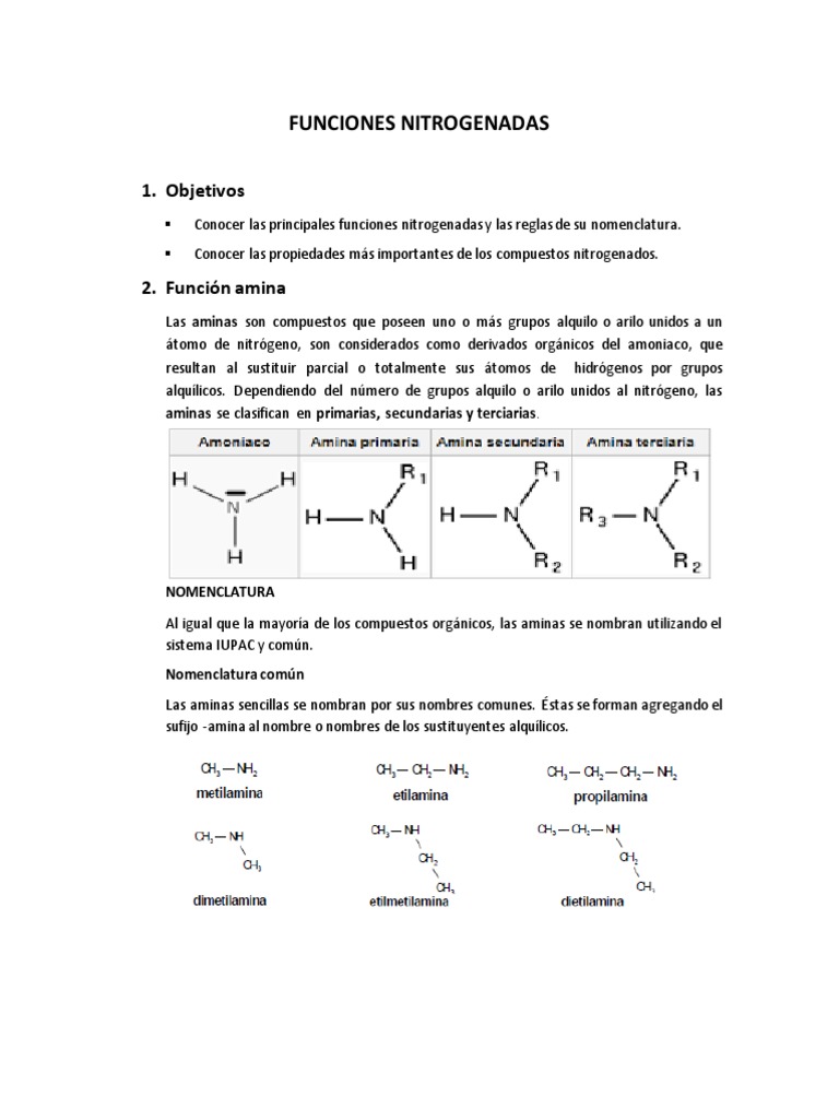 Funciones Nitrogenadas | PDF | Amida | Amina