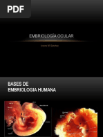 Origen Embrionario de los Tejidos Humanos | PDF | Embrión | Biología ...