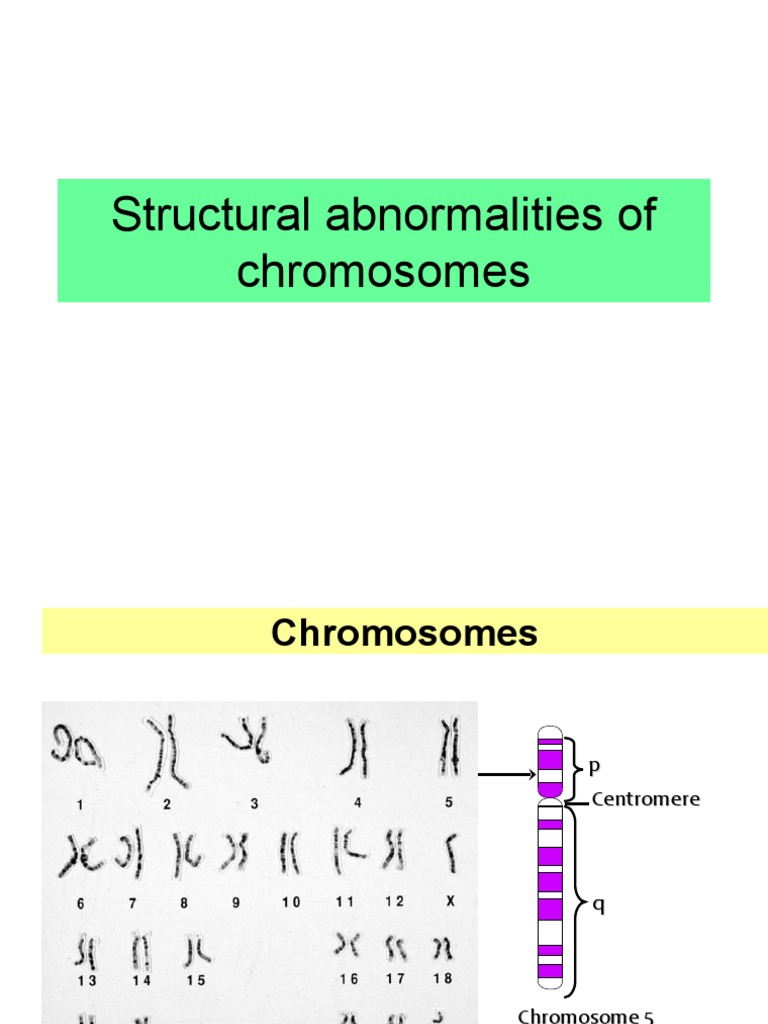 Structural Abnormalities of Chromosomes | PDF | Genetics | Syndrome