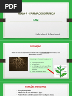 Raízes Adventícias: Exemplos e Funções | PDF | Raiz | Morfologia vegetal