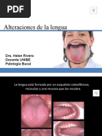 Microglosia y Macroglosia | PDF | Inflamación | Lengua