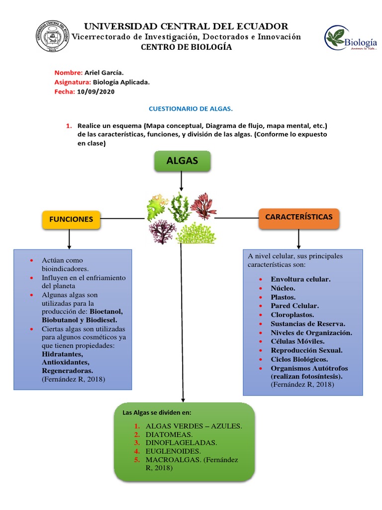 Diagrama De Algas Verdes Plantas De Casa By Miguelescriva Issuu